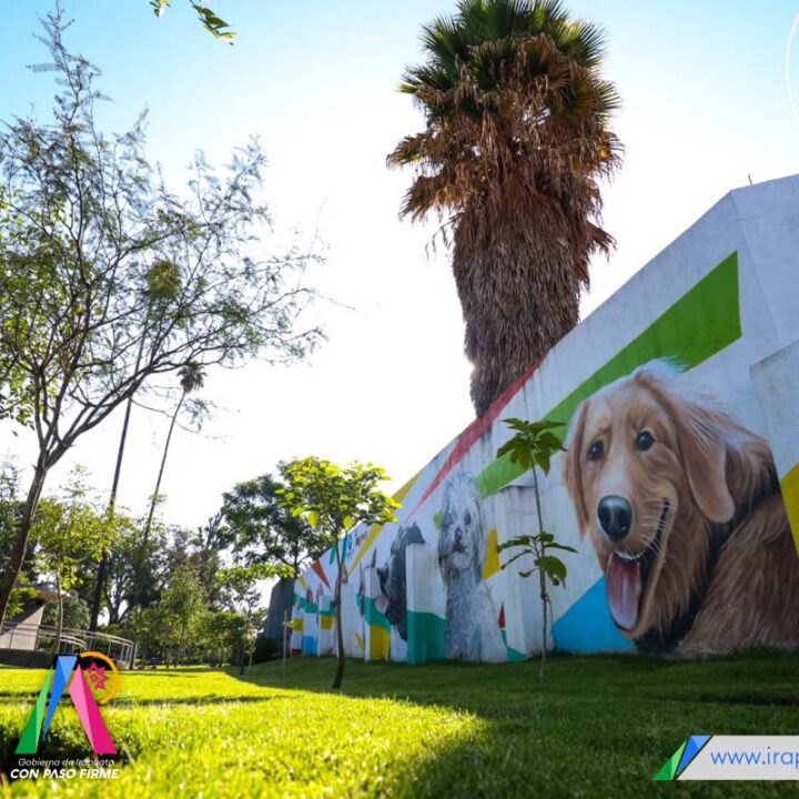 Parque Irekua: lugar para disfrutar en familia – Gobierno Municipal de Irapuato