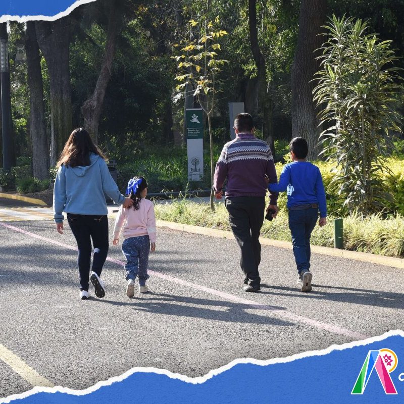 Visita y disfruta del Parque Irekua y el Centro de Educación Ambiental en Irapuato – Gobierno ...